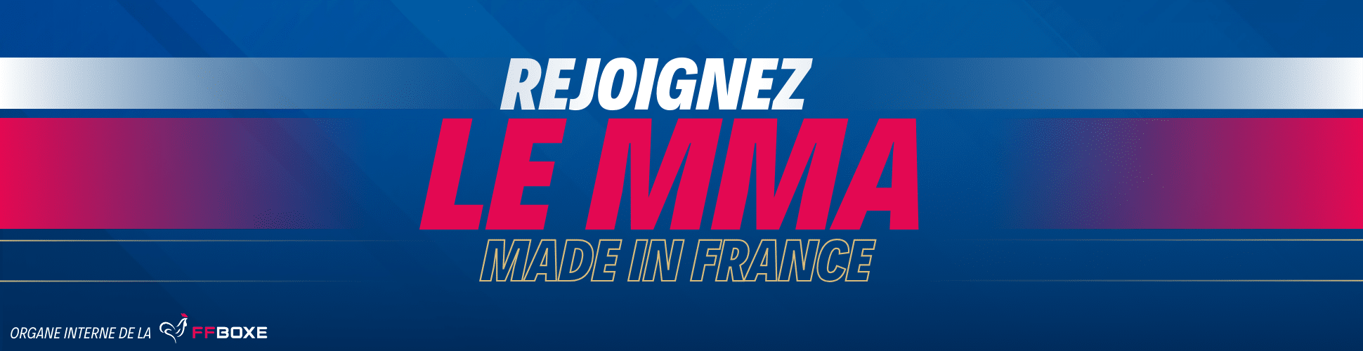 HEXAGONE MMA : Poitiers et le renouveau des arts martiaux mixtes en 2024