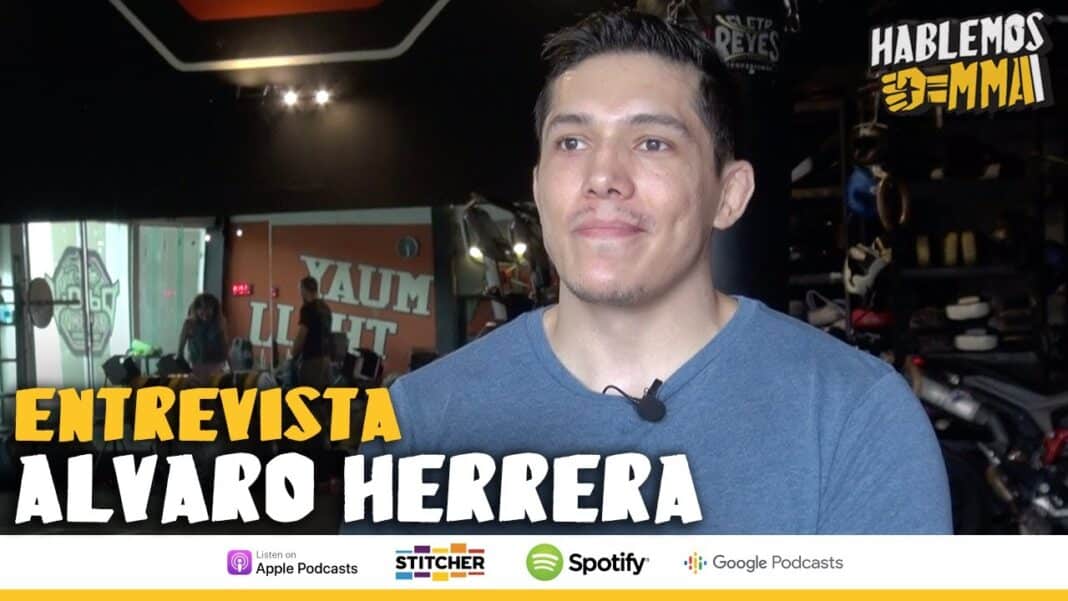 Le mma au féminin : une émancipation par la puissance