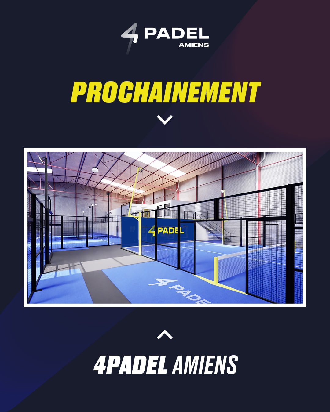 Découvrez le complexe indoor MS Padel : un paradis pour les passionnés ...